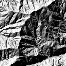 学能堂山（関西百名山）ベニバナヤマシャクヤクを見に - 2022年06月09日 [登山・山行記録] - ヤマレコ